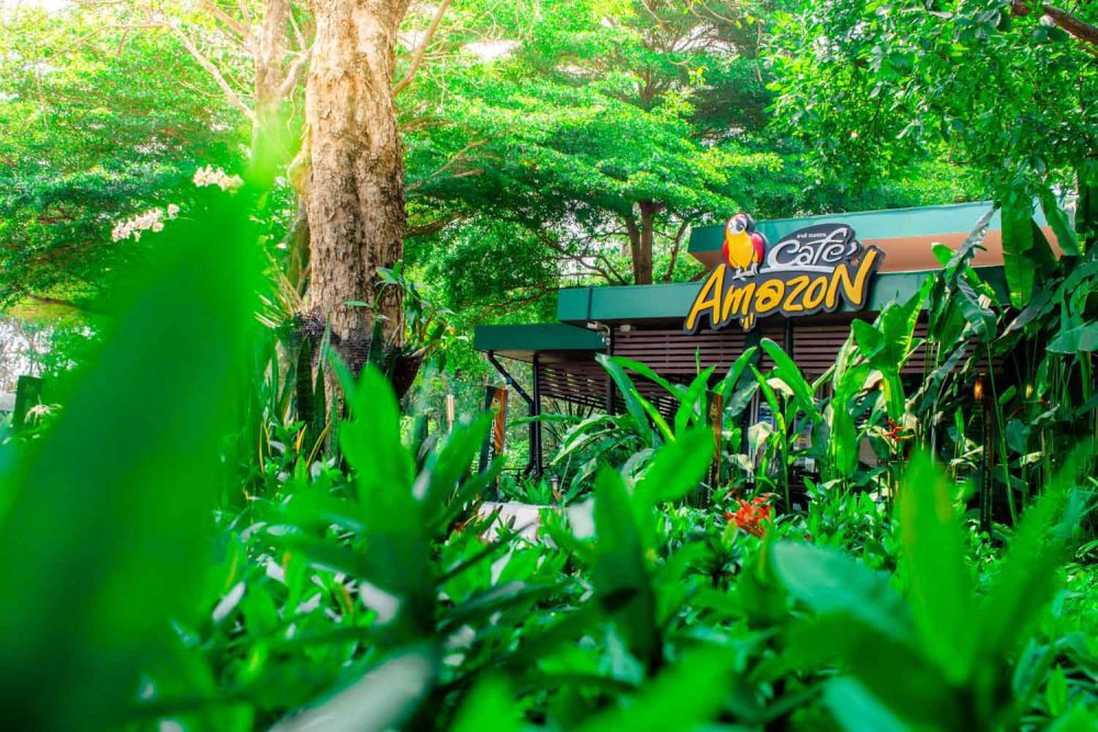 Café Amazon: Unpacking the Design - art4d CO.SPACE