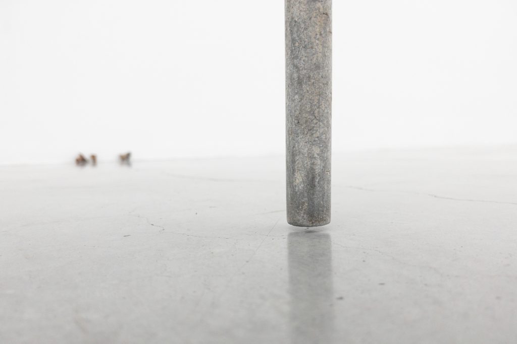 APC_0116_low res - art4d