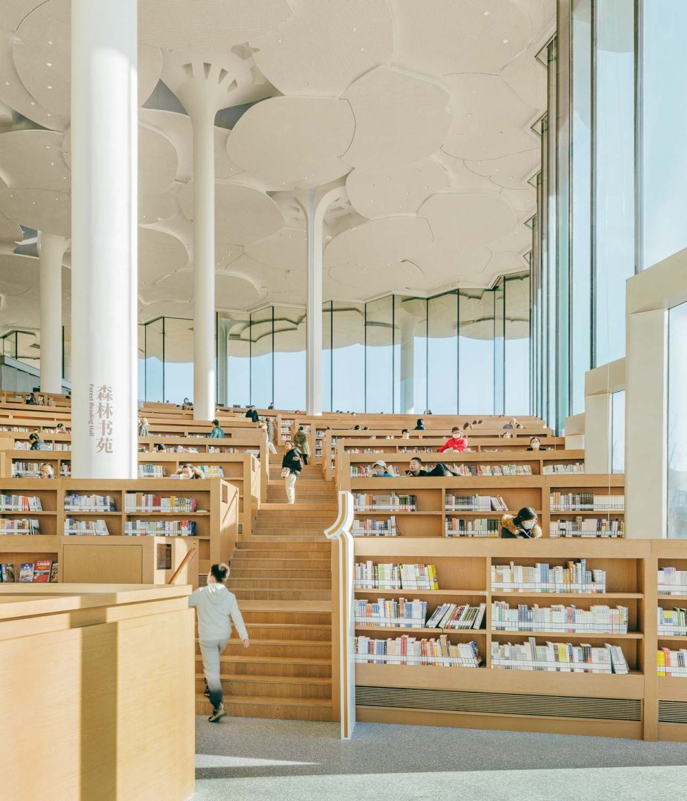 Beijing City Library: Reading a book on the hill under the tree