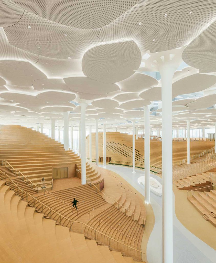 Beijing City Library: Reading a book on the hill under the tree